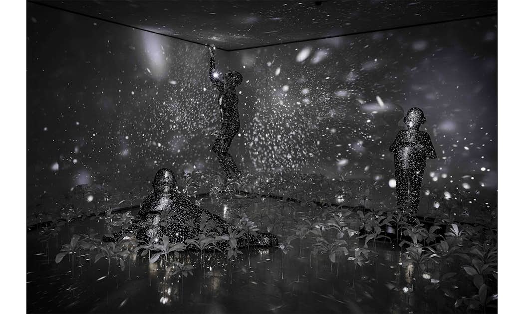 過去と未来の帰港地をテーマに。「さどの島銀河芸術祭プロジェクト 2022」開催へ｜画像ギャラリー 2 / 7｜美術手帖