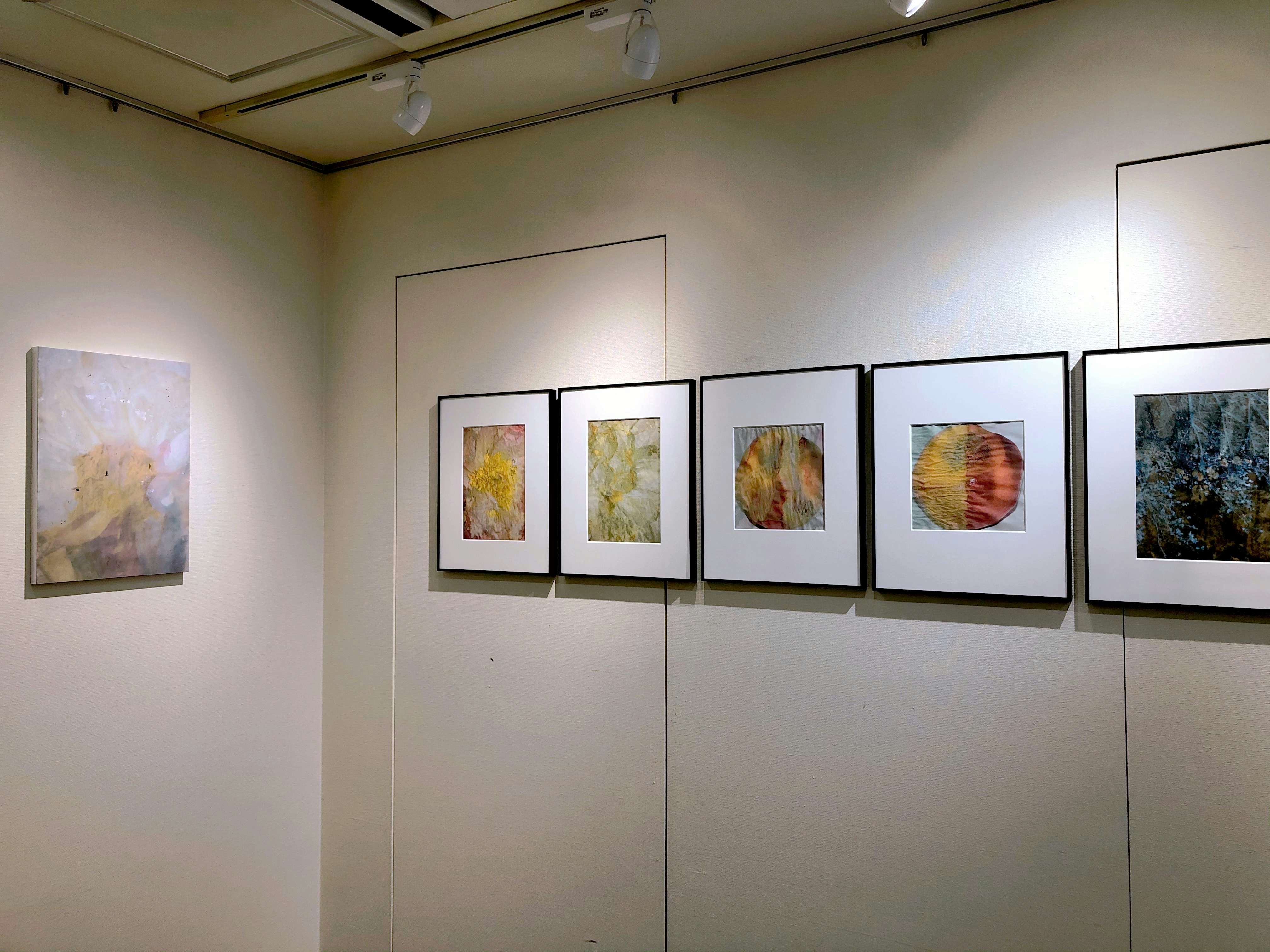 土中から顔を出した、“発光”する写真。小野久留美の個展「発光体」がGALLERY HAYASHI + ART BRIDGEで開催へ｜画像 ...