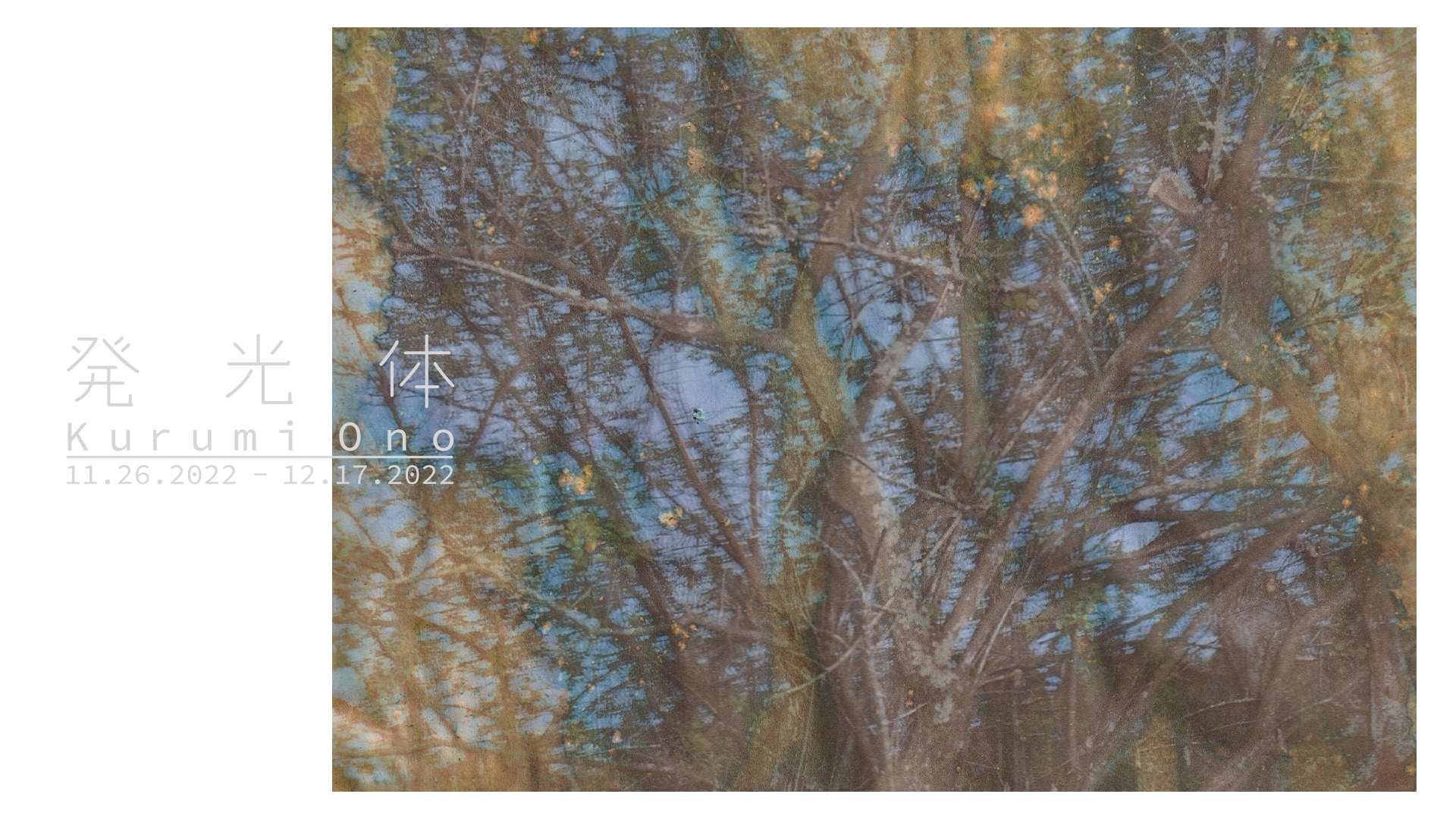 新世代のギャラリストが放つ旺盛なエネルギー。GALLERY HAYASHI + ART BRIDGEのディレクターに聞く｜美術手帖