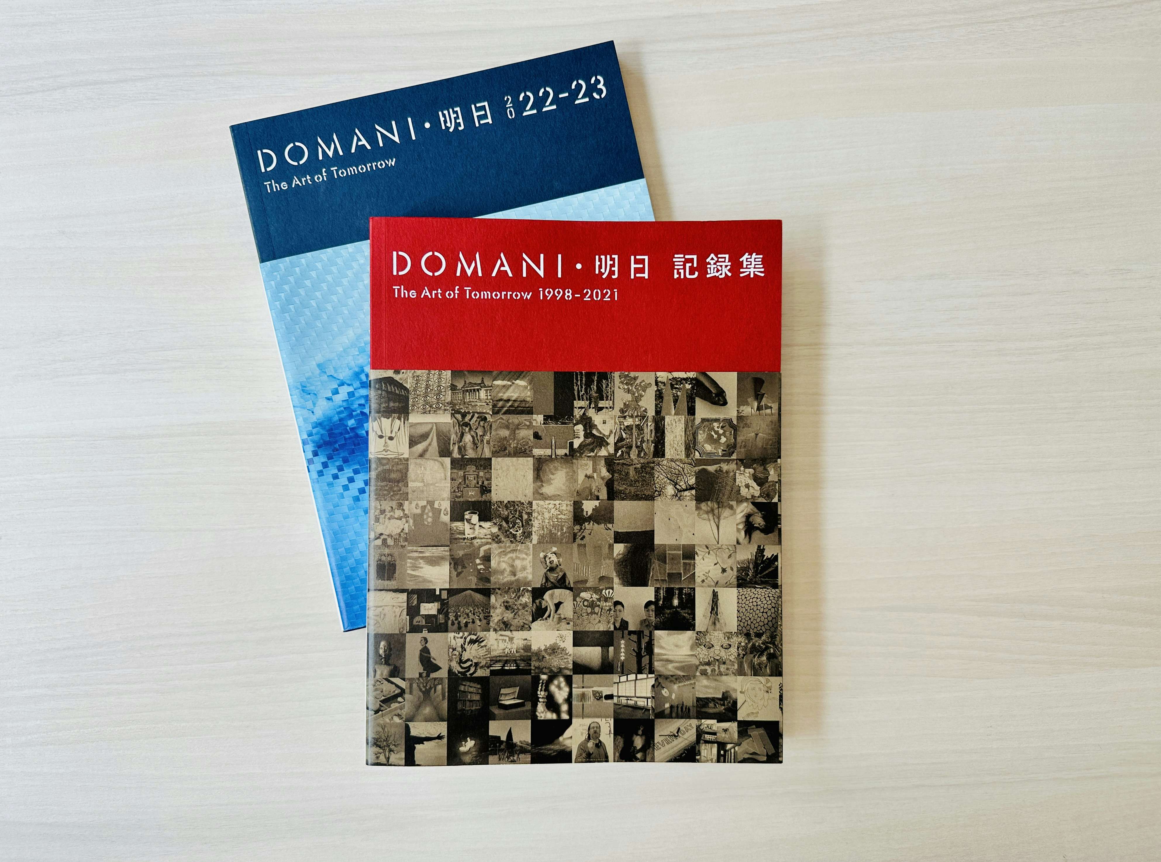 「DOMANI・明日展」、25年の歴史を振り返る。淡々と続けてきたことの重要性｜画像ギャラリー 5 / 9｜美術手帖