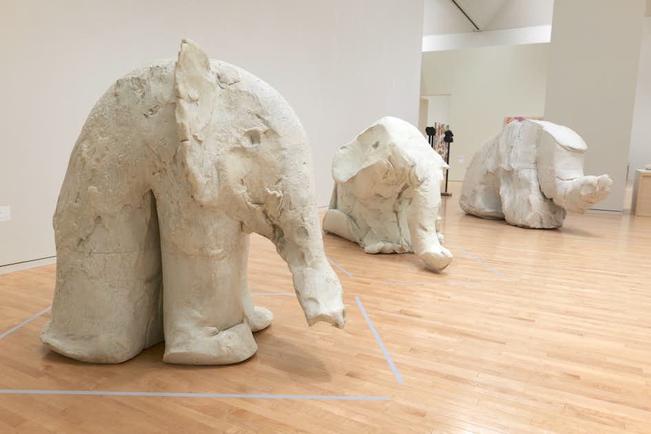 「岡﨑乾二郎 而今而後 ジコンジゴ Time Unfolding Here」（東京都現代美術館）開幕レポート。「転回」の先に見えたその造形の ...