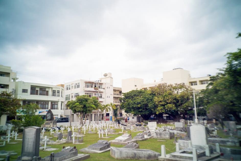 ミヤギフトシ連載13：「アメリカの風景」 何かに触れずに、それについて語ること｜画像ギャラリー 6 / 11｜美術手帖