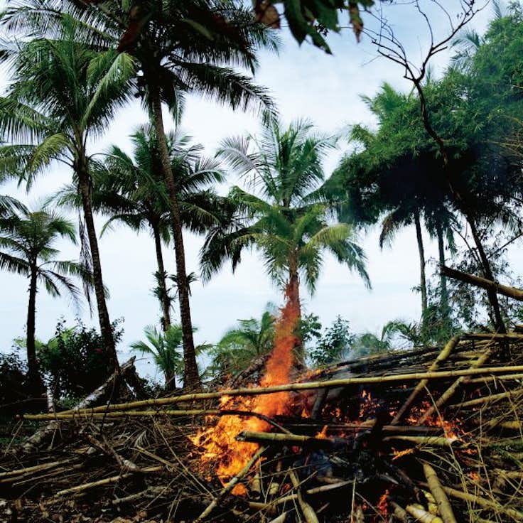 音で感じるアピチャッポン・ウィーラセタクンの世界。使用楽曲を集めたアルバム発売｜画像ギャラリー 2 / 2｜美術手帖